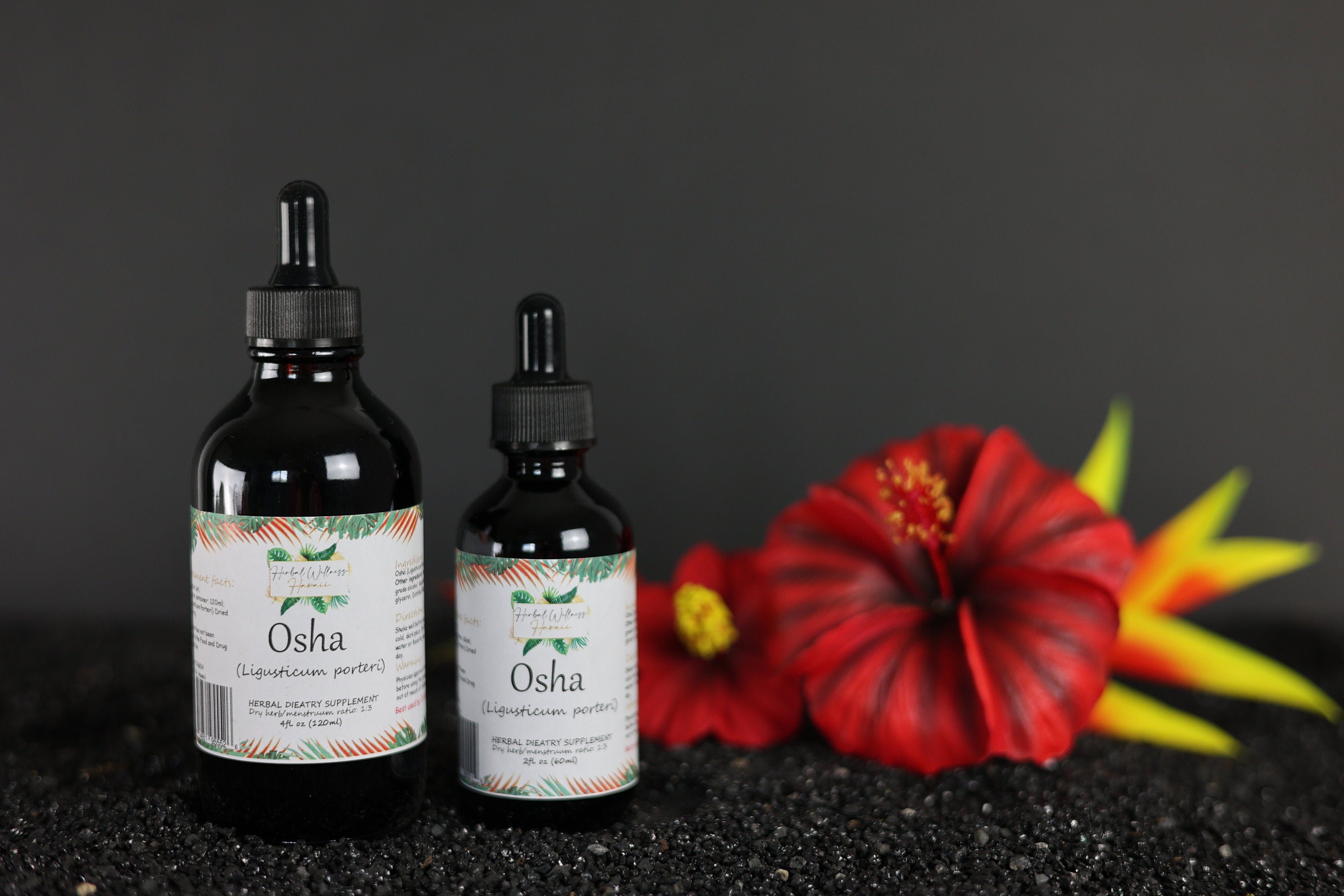 Osha Root Alcohol-Based (Ligusticum porteri) Dried Root Liquid Extract ...